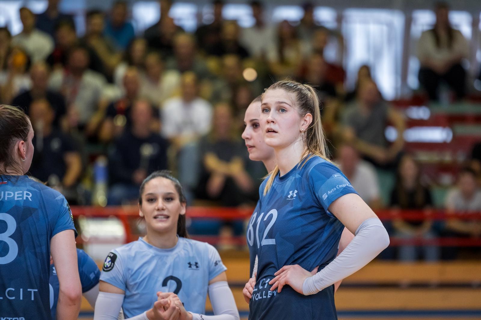 Odbojkarska tekma Calcit volley vs Luka Koper volley - Dogodki na Siol.net